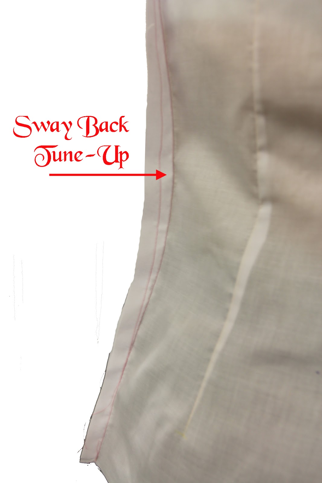 Sure-Fit Designs™ Blog: Oh my Sway Back