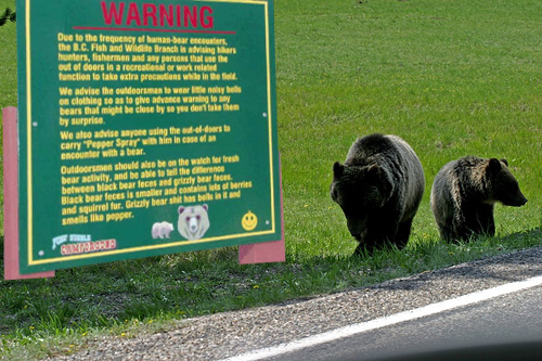 Capt Rob Lee: Grizzly Bear Warning Sign - Humor