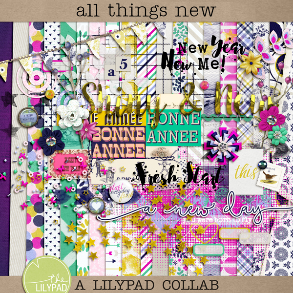 Monday's Highlight: Liddy Bug by Lorry / Scrapping with Liz