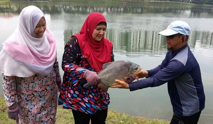 JoranPancing: Pelepasan ikan simbolik Jelajah Pancing KL di Tasik Danau ...