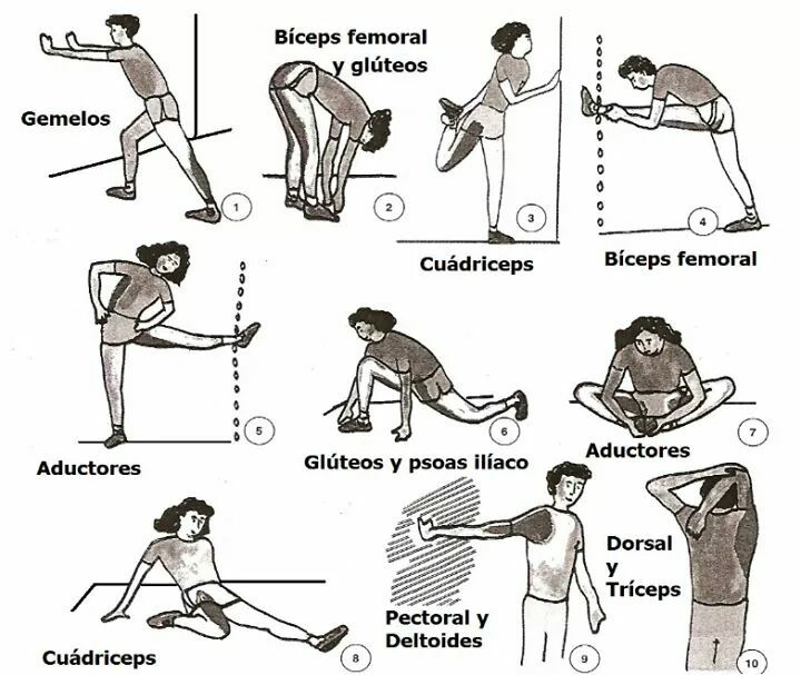 Aprende con el maestro Carlos V.: La importancia de estirar correctamente.