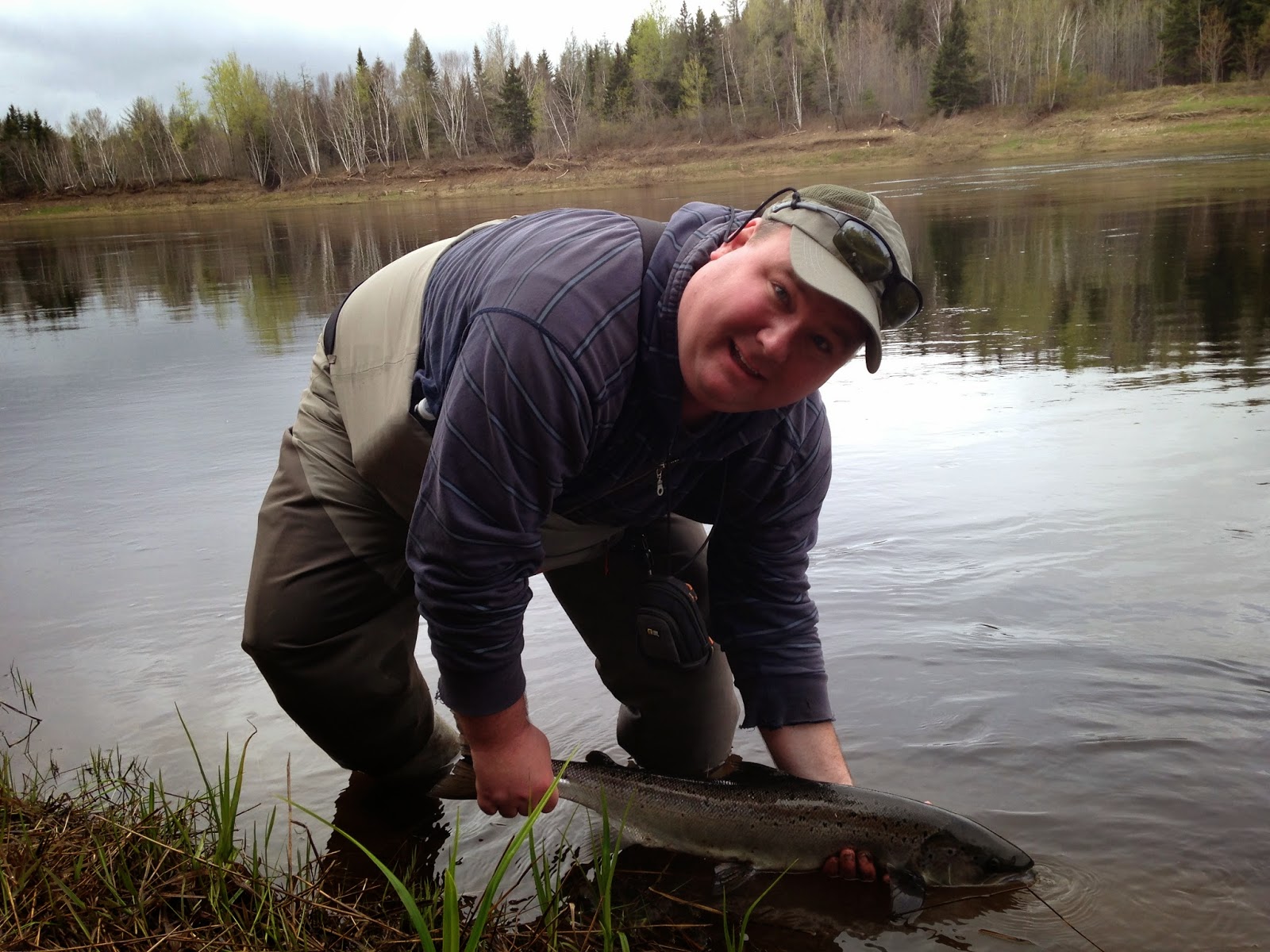 The Wulff Den: Why I fish for “Black Salmon”, “Spring Salmon”, “Kelt ...