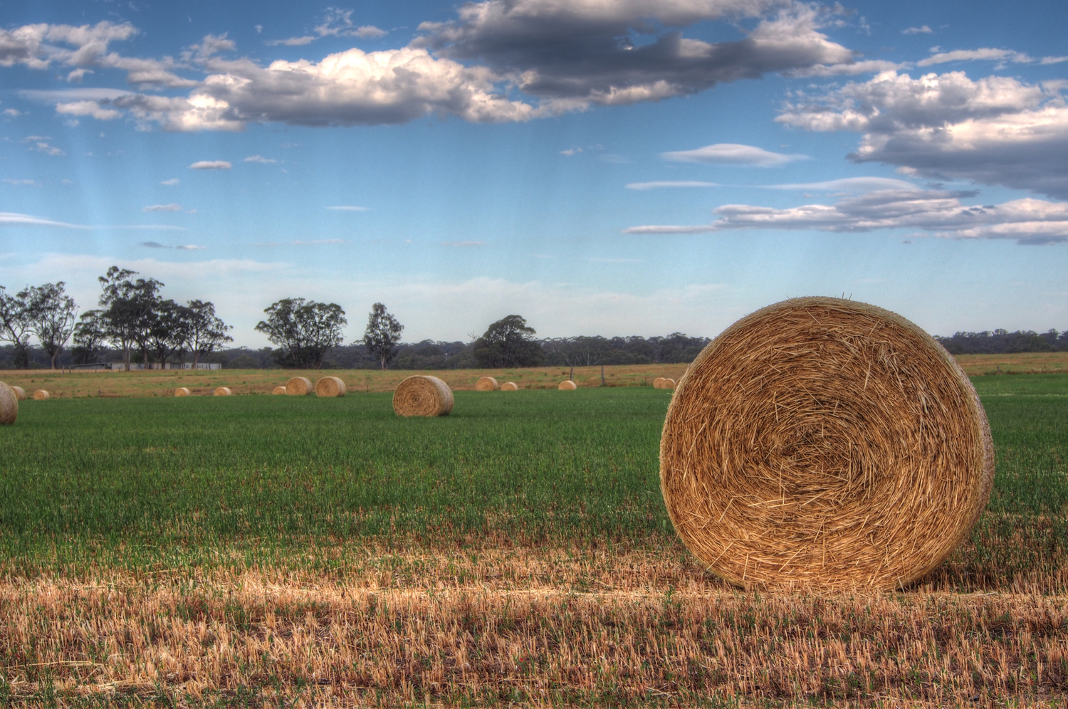 Joel Bramley Photography: Hay Bales and HDR