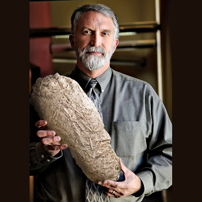 Undebunking Bigfoot: Corroborating Evidence Makes Strong Case for the ...