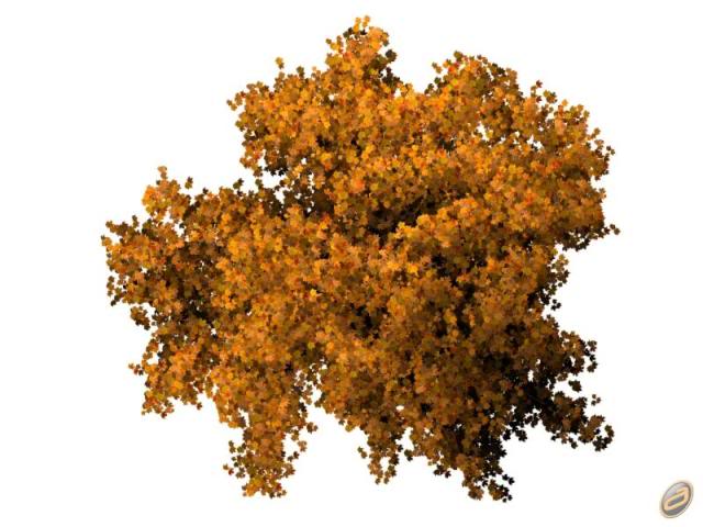 Arboles Autocad Photoshop: Árboles en Planta. Imágenes