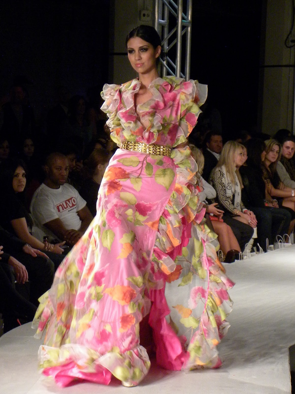 CSM: A Style Maven's Diary...: [Chicago Fashion Event] "Art in Fashion ...