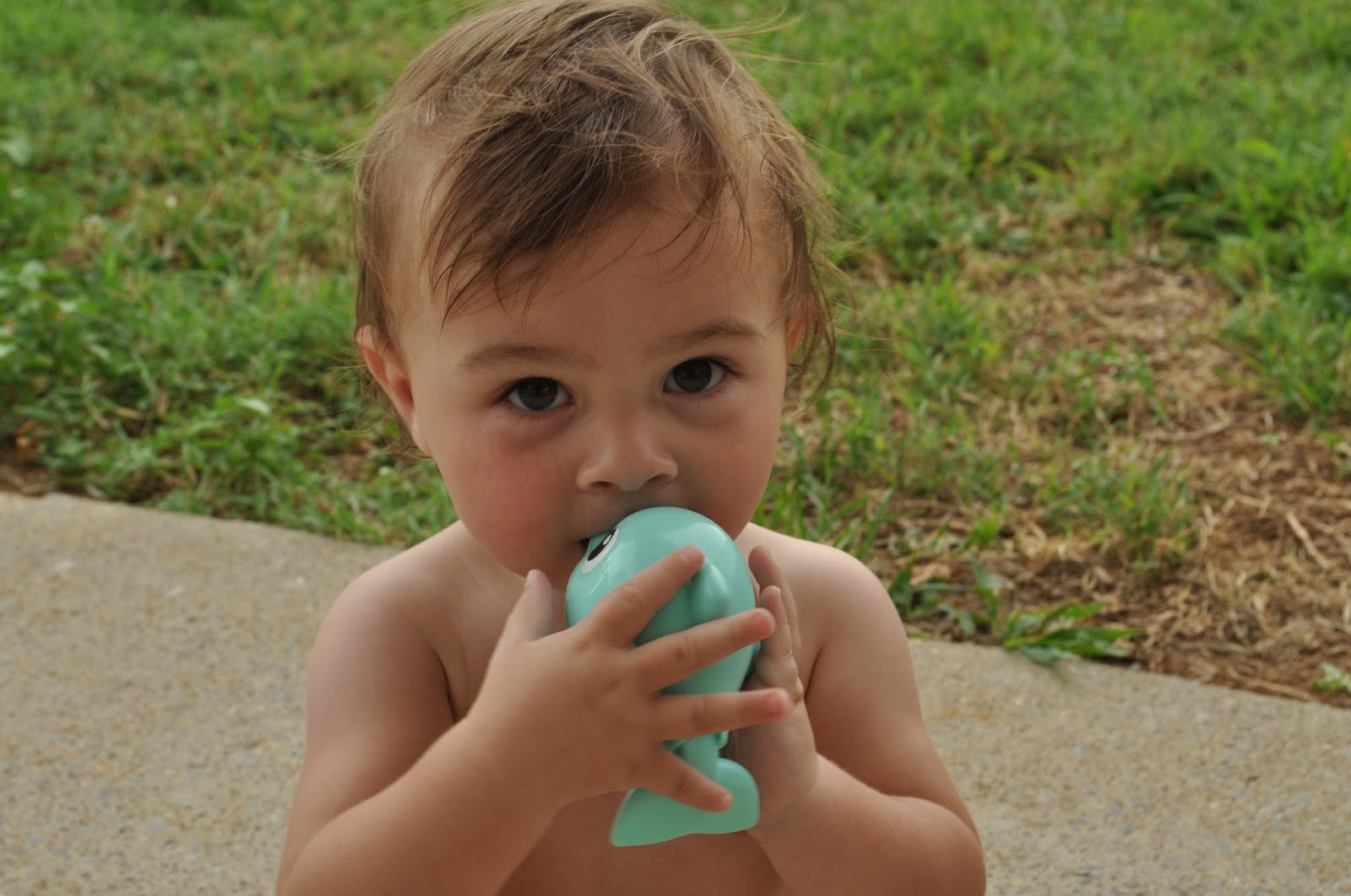 The Snozberry Diaries