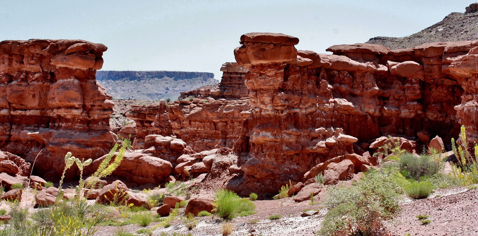 The Southwest Through Wide Brown Eyes: Recapture Pocket, a Hoodoo ...