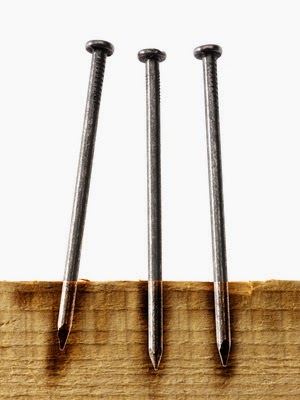 GOBLOG: PAKU & SEBATANG KAYU