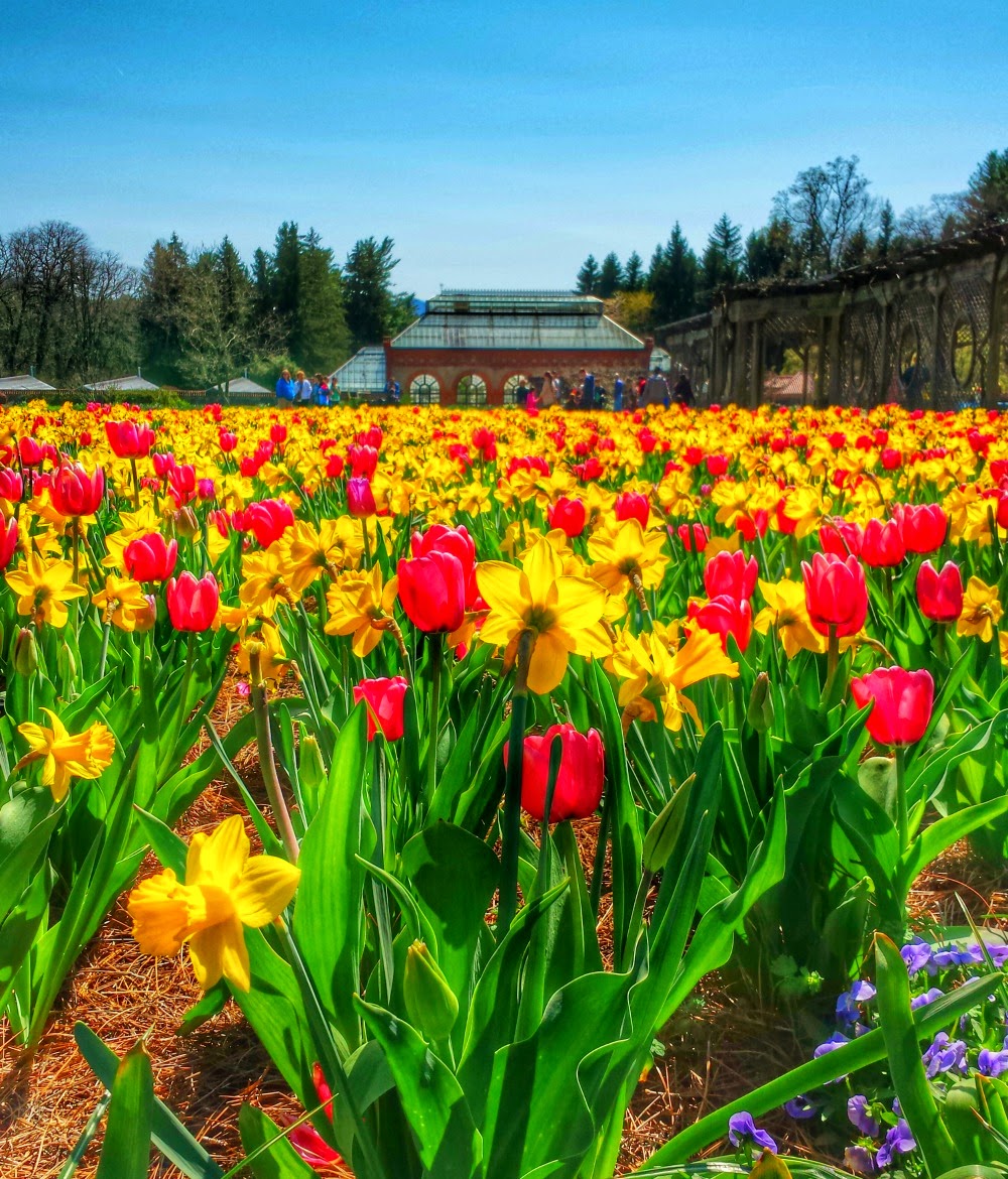 NC Mountain Escape: Tips to Plan a Trip to Asheville and Biltmore ...