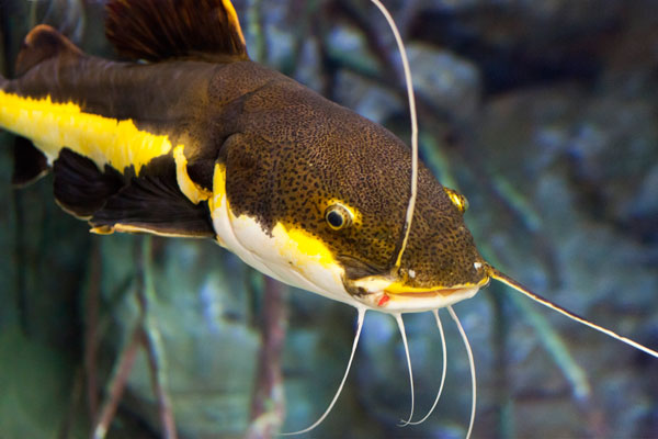 miguel antonio: marzo 2013