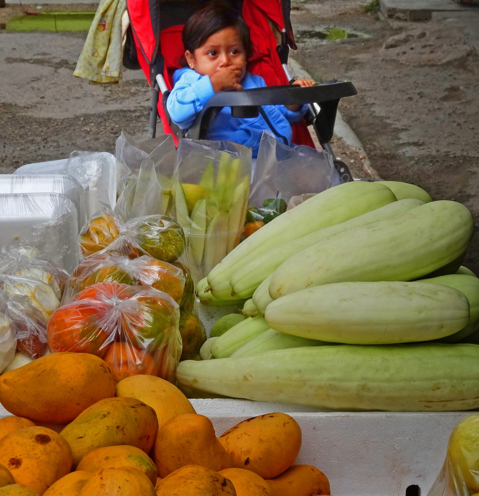 Joe's Retirement Blog: The Village (El Poblado), Puerto Aventuras ...