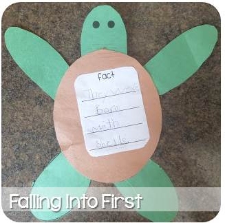 Tattle Boxes and Sea Turtles | Falling into First
