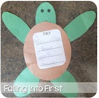 Tattle Boxes and Sea Turtles | Falling into First