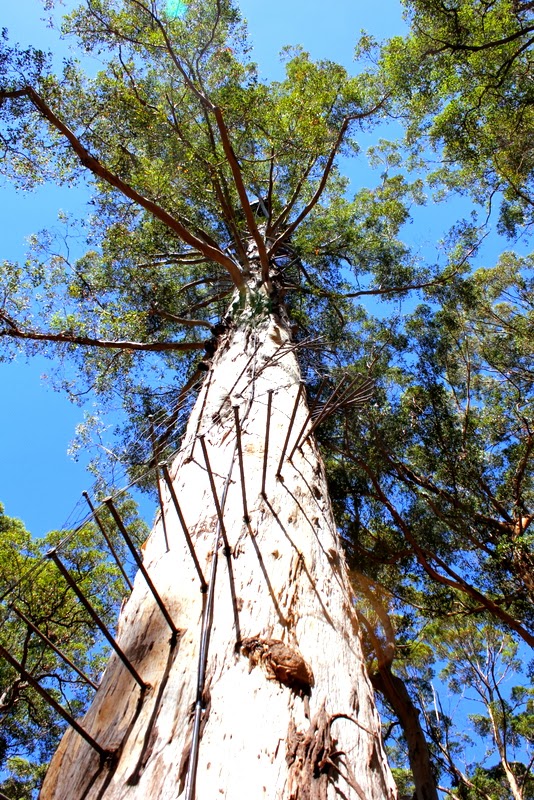 Travelling Around Australia: South West WA