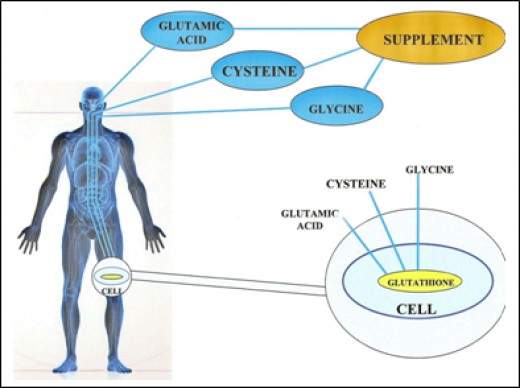 Personal Blog News and Info: How Helpful is Glutathione