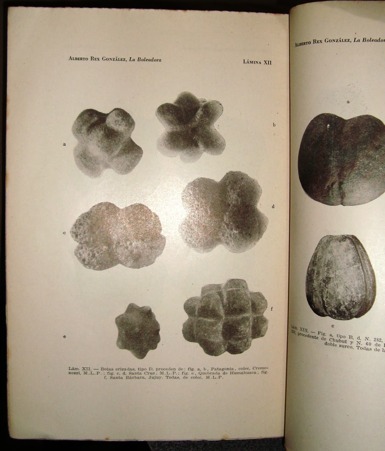 LEYEDOR LIBROS: LA BOLEDORA Y SUS AREAS DE DISPERSION ALBERTO REX ...