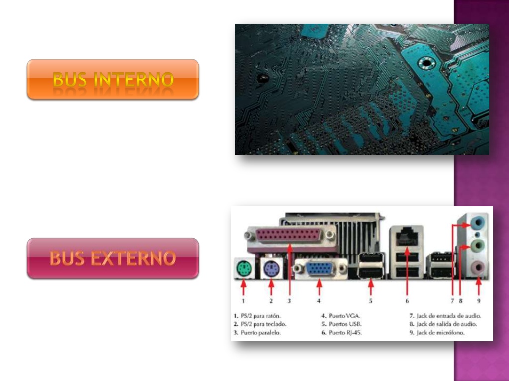 Informática: Placa Madre : Bus de Datos