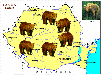Save the planet!: Fauna României:hărţi cu răspândirea geografică a ...