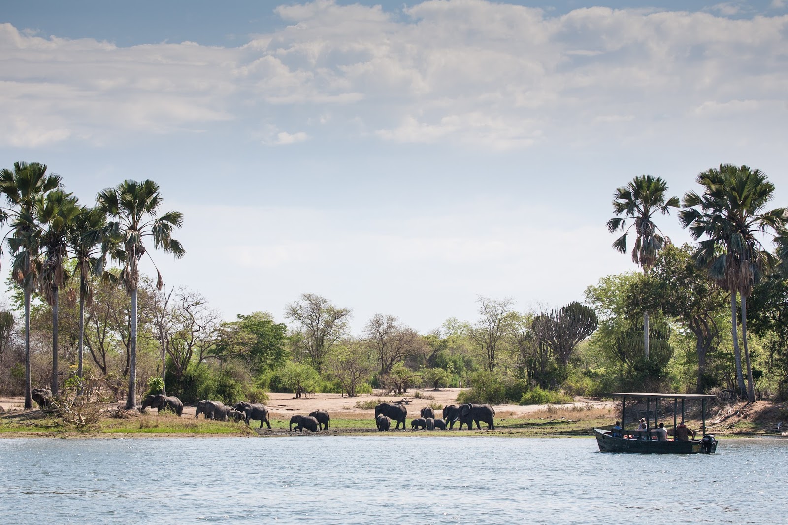 Liwonde National Park - Africa Family Travel