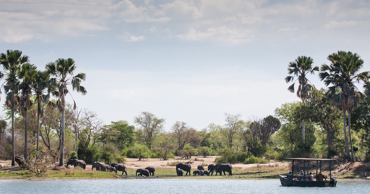 Liwonde National Park - Africa Family Travel