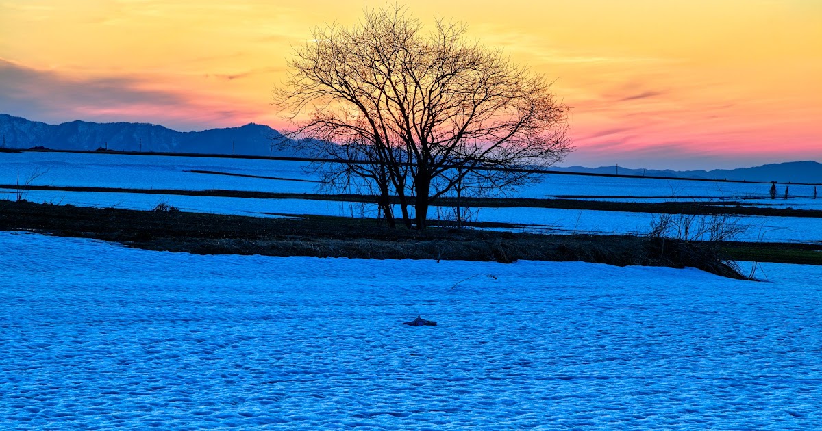 雪原の夕焼け / Snowfield with sunset glow | リョータログ