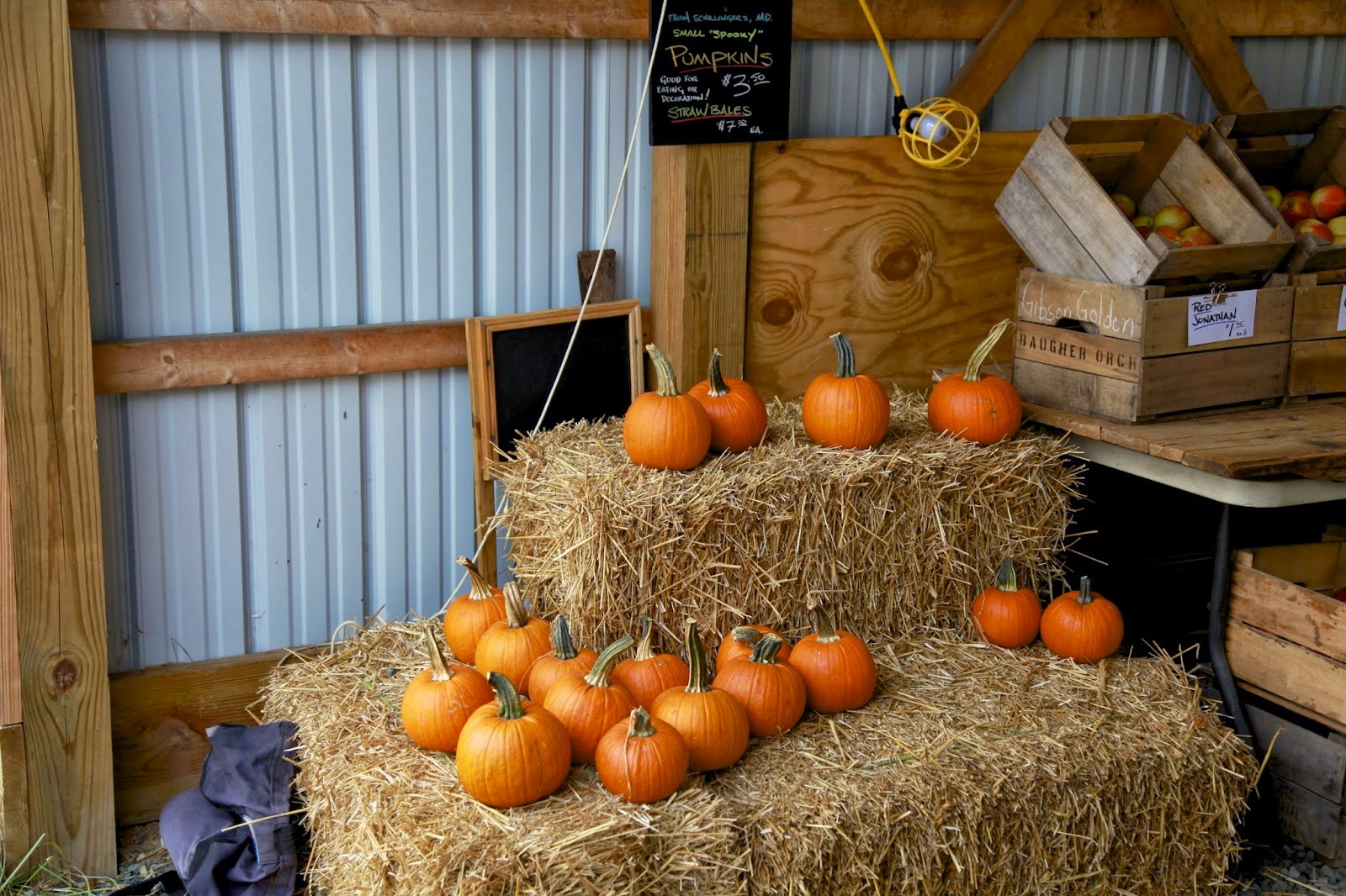 Autumn Walk @ Emerson: Gorman Farm