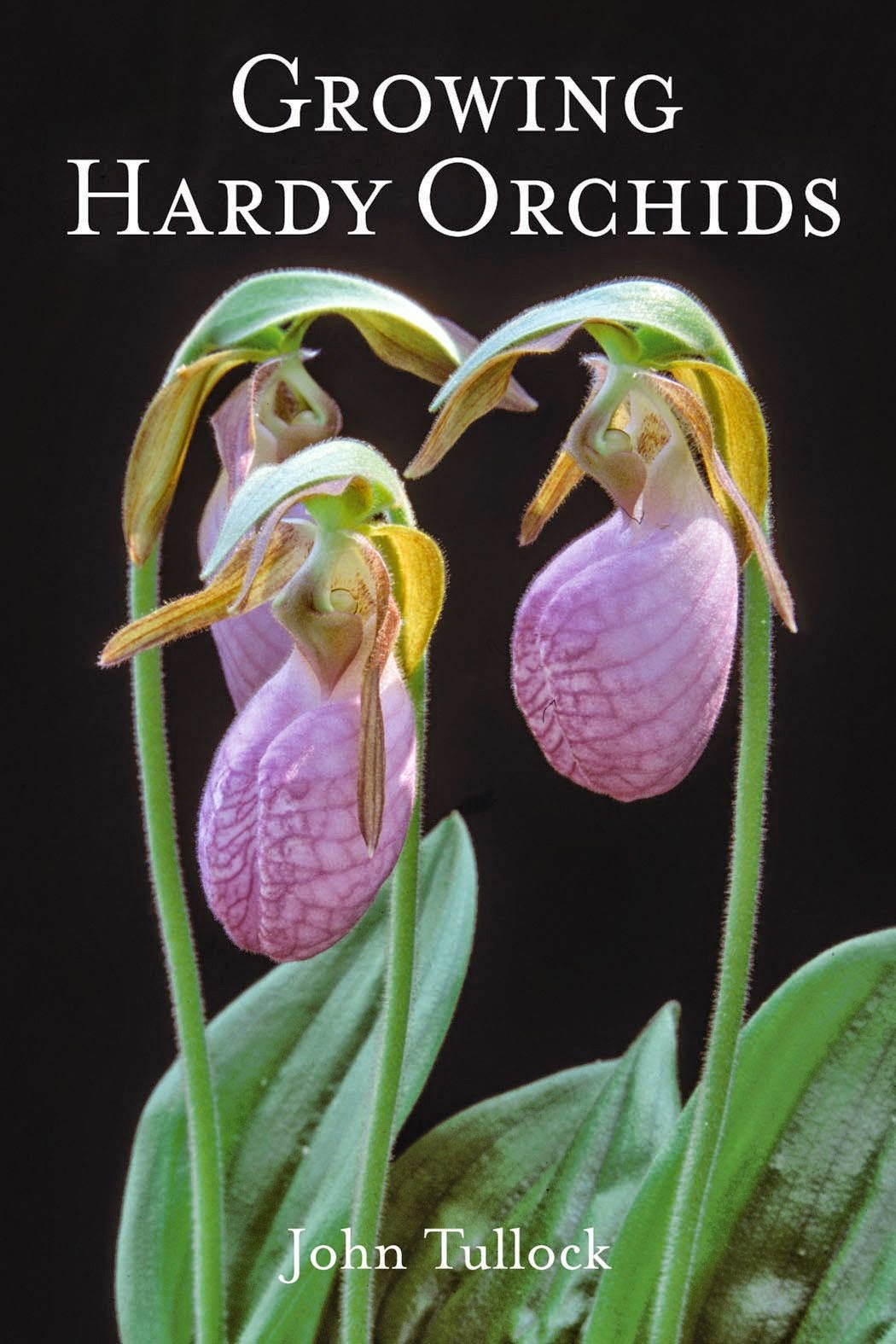 Orquídeas Blog de Angel Mar: Growing Hardy Orchids (Orchids books)