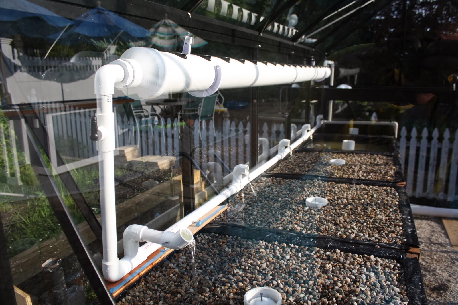 Greenhouse Aquaponics: 2013 - Year #1