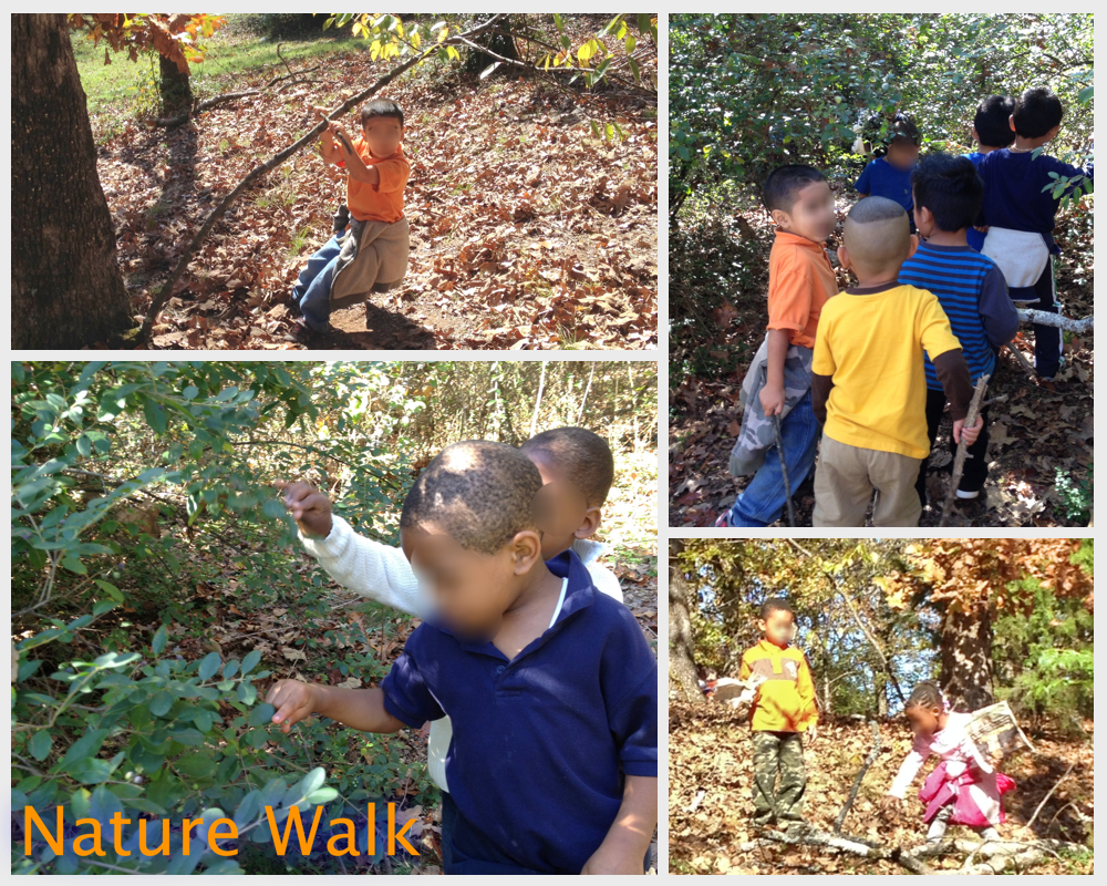 The Simplicity of Learning: Leaf Man