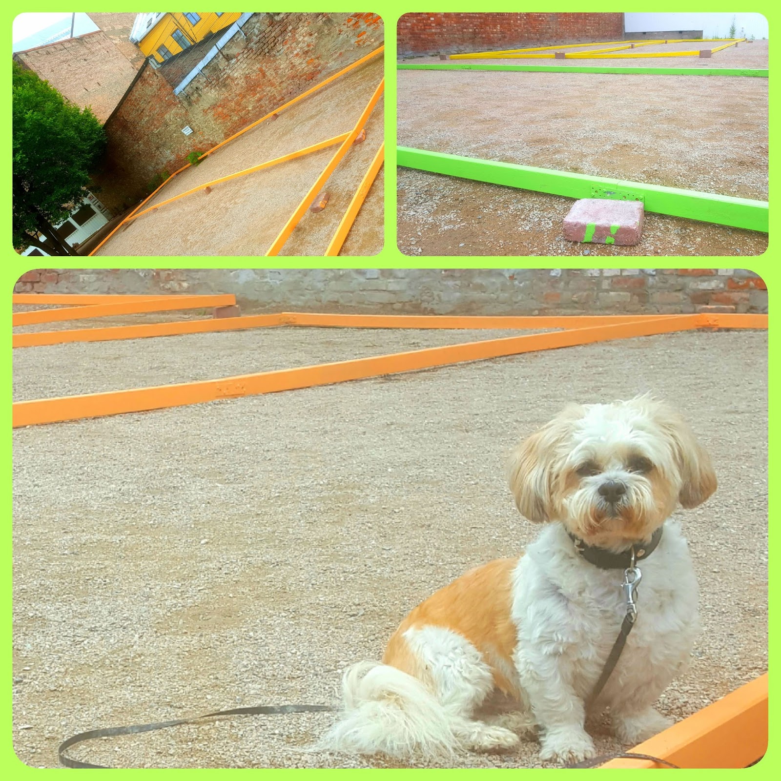 Petanque Feminin: Team Building