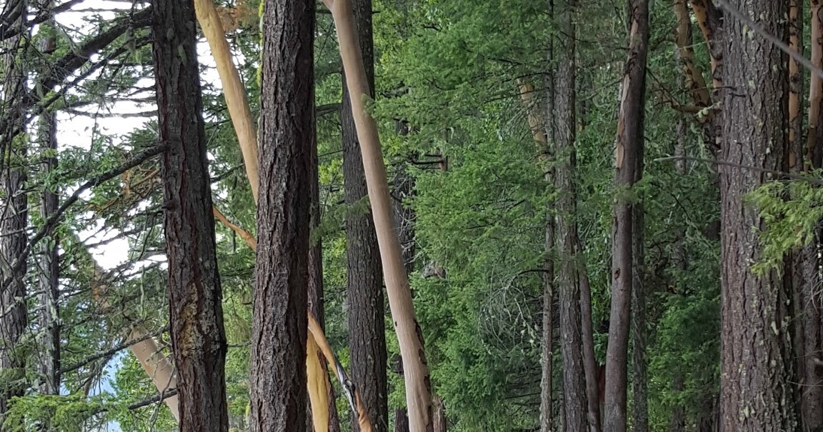 ~Beauty In the Storm ~: The Ground Is Shifting