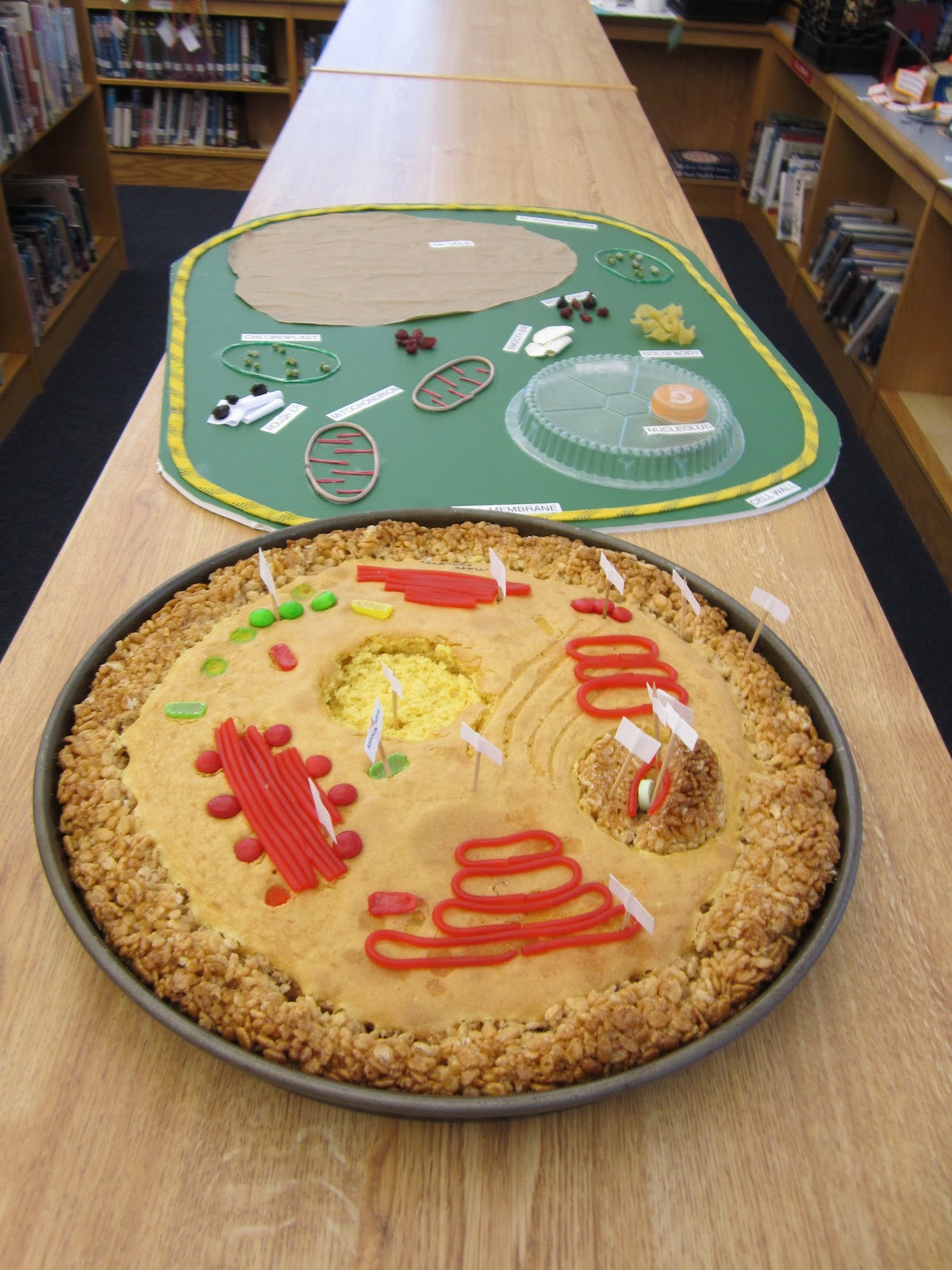 Setauket Elementary School Library: Mr Guez's 6th Grade Cell Project