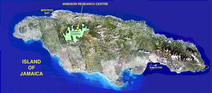 One Love: Cockpit Country