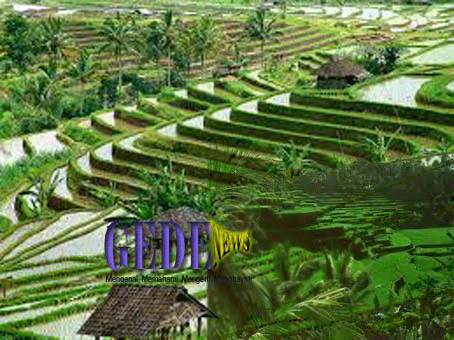 Teknik Menata Lahan Miring Metode SALT - Calon Tani