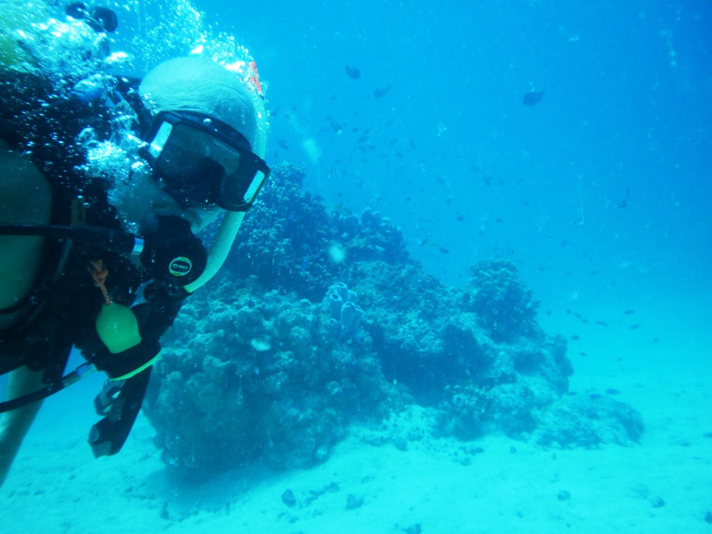 SAILING HELENA: Diving in Majuro, Marshall islands