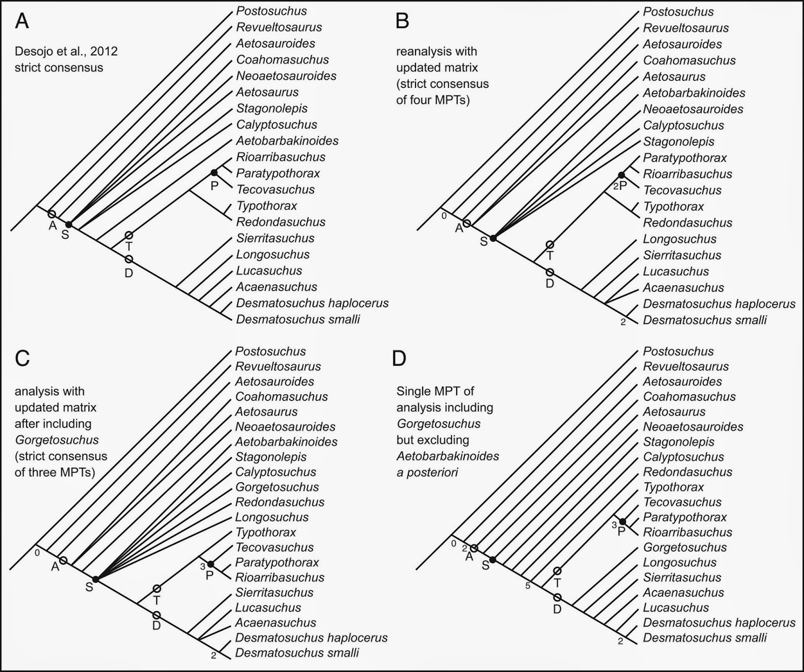 The Dragon's Tales: Gorgetosuchus pekinensis: a new Basal ...