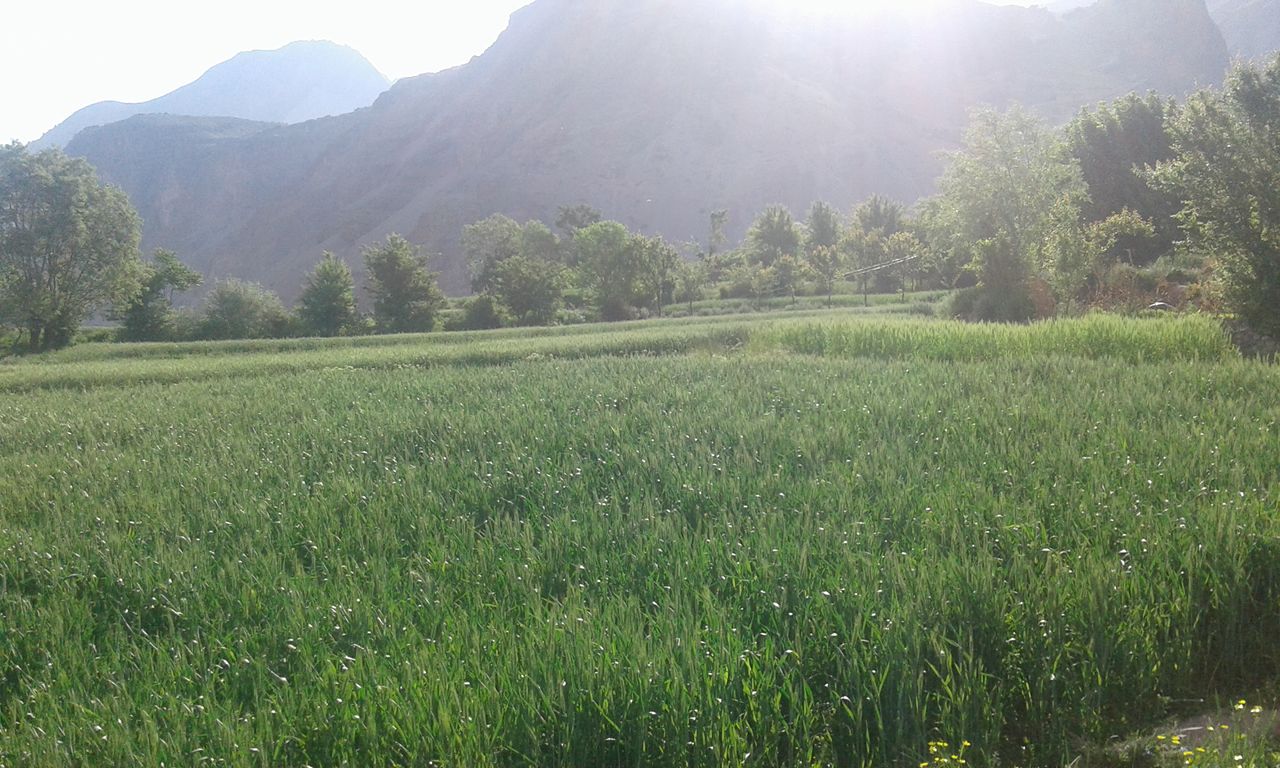 #Chitral, Reshun's stunning pictures in May 2016