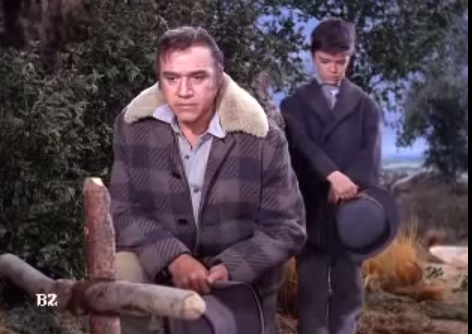 The Flaming Nose: "Bonanza" Advice: Mama, Don't Let Your Babies Grow Up ...