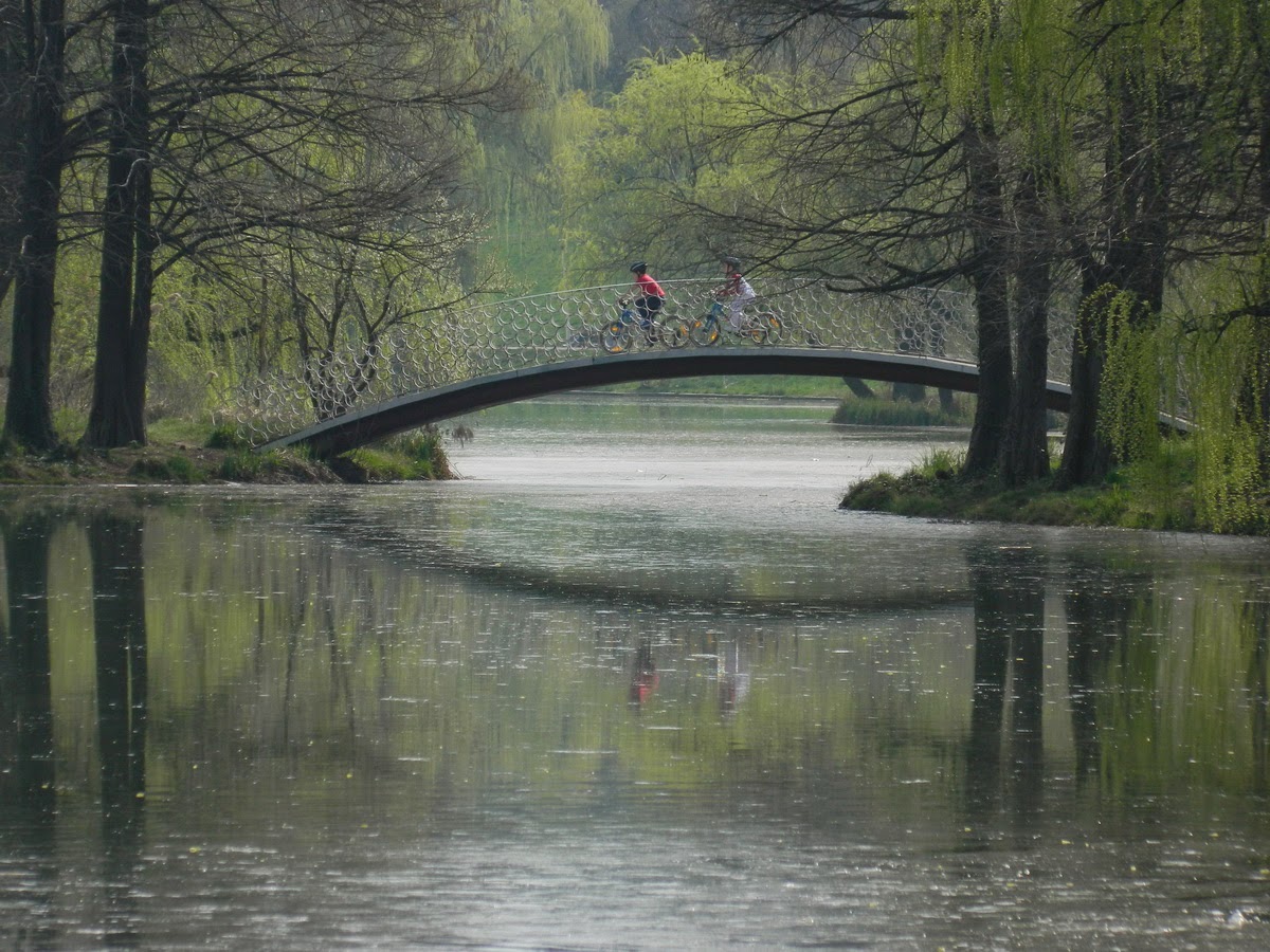 LA MULTI ANI, ROMANIA!: Doua poduri in imagini duale