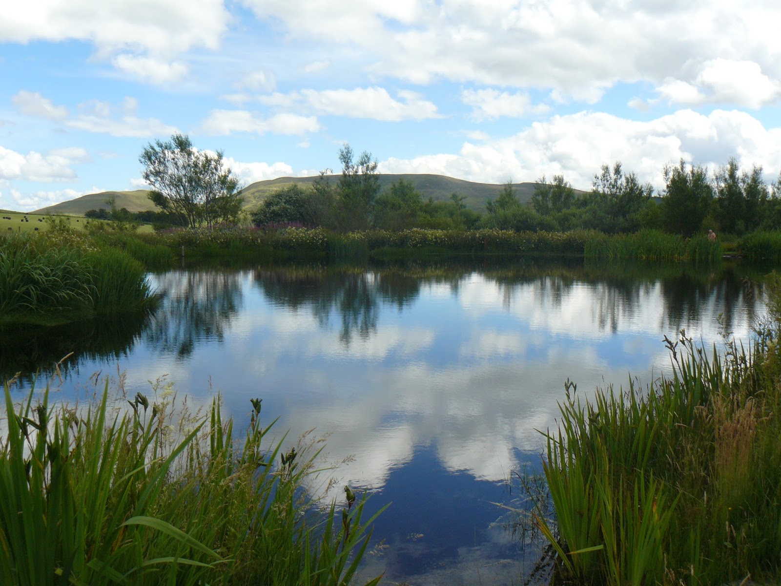 Little Sparta