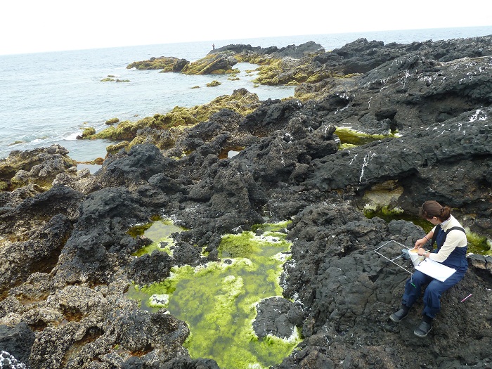 NATURMARIENSE: GRANDE EXPEDIÇÃO CIENTÍFICA AOS ILHÉUS DAS FORMIGAS