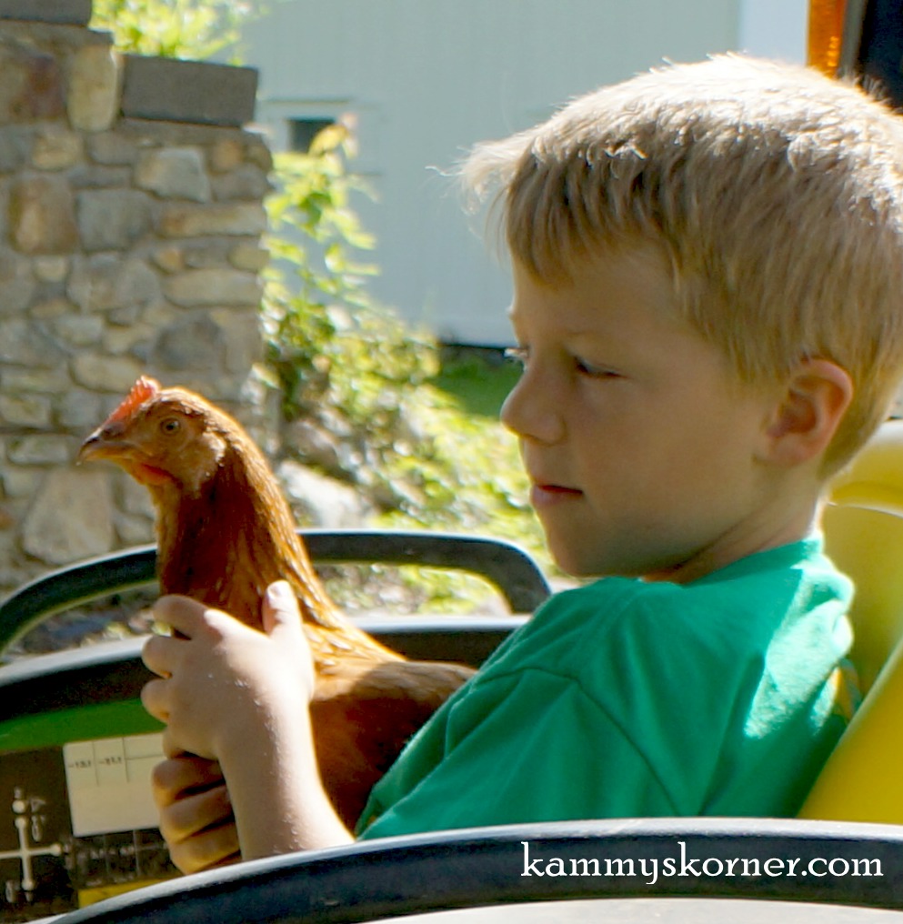Kammy's Korner: A Boy And His Hens