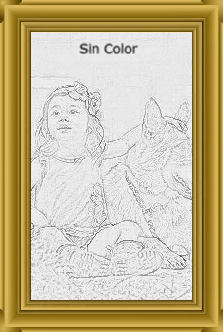 Imágenes Lindas Con color y sin color