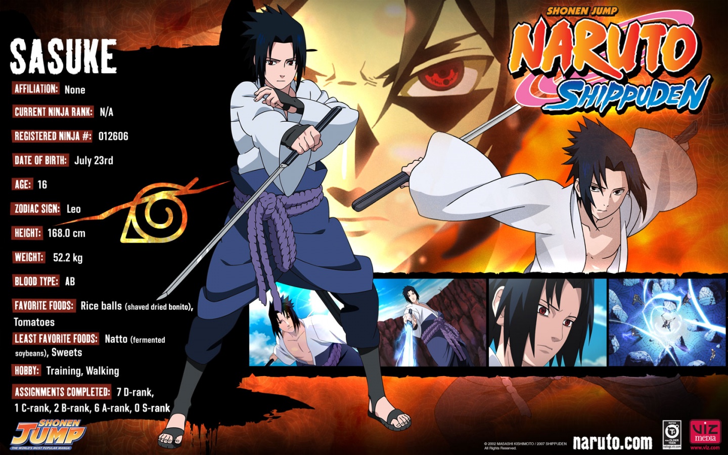 Naruto Shippuden: Sasuke Bio...