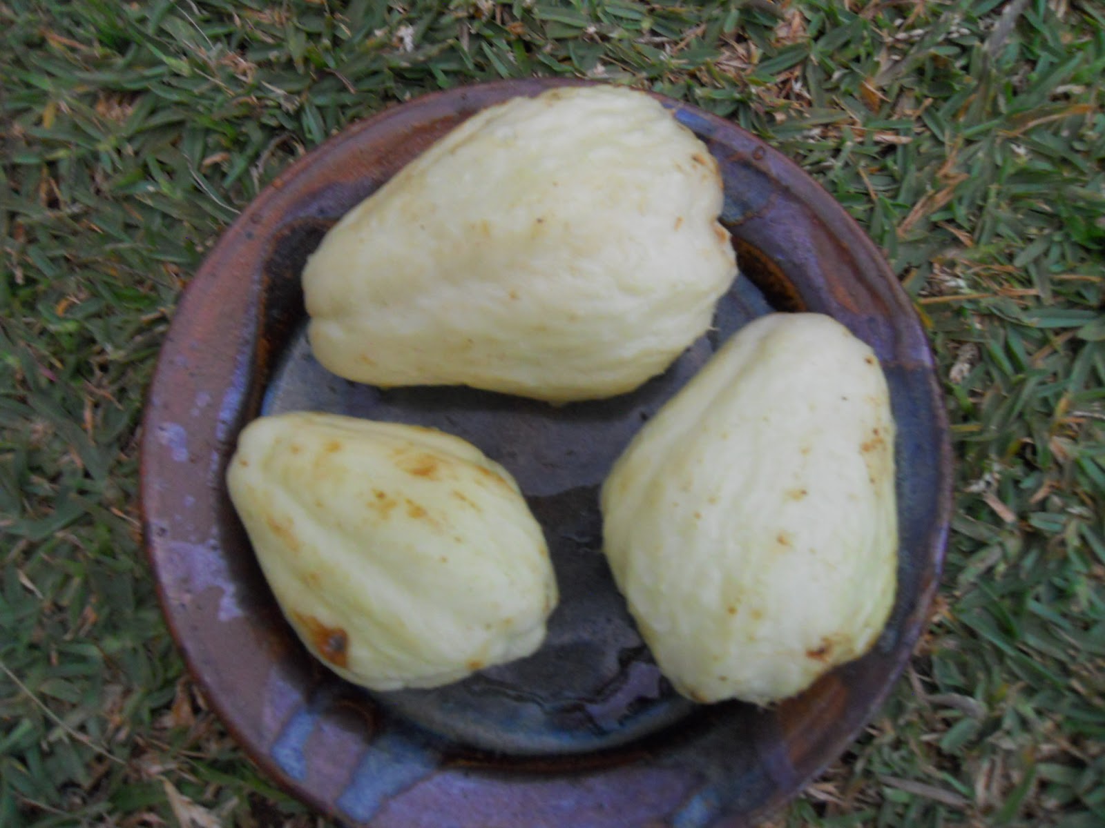 Well, It's Africa...: Shu-shu