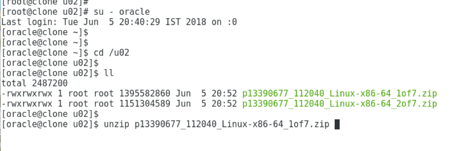 Oracle Database 11.2.0.4 Installation and Configuration on Linux 7.5 ...