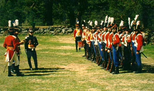 Blunders on the Danube: The Norwegian Army - 1814