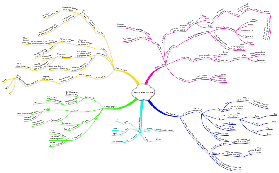 Margarita's Learning Log: Take Action For Air Mindmap