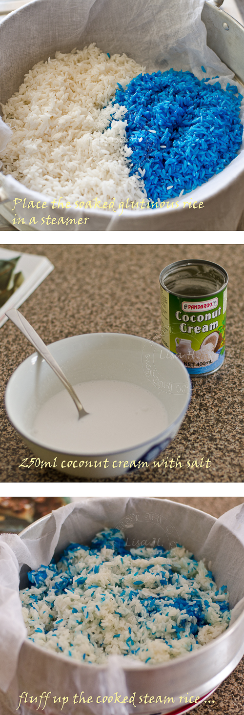 Puah Kiam Ti Chang/ Nyonya Glutinous Rice Dumplings - Lisa's Lemony Kitchen